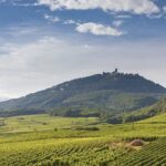 CA de l’UDSF 2025 à BORDEAUX - Union de la Sommellerie Française