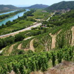 AG UDSF 2026 – Auvergne - Union de la Sommellerie Française